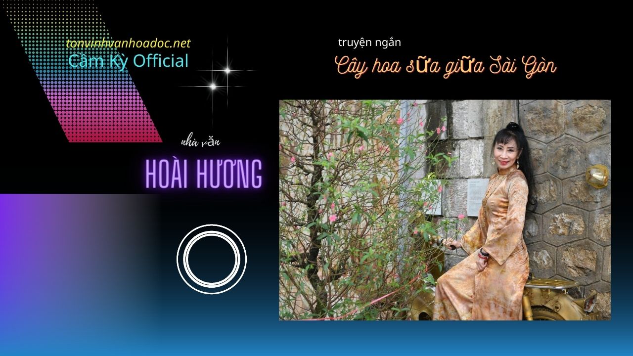 Cây hoa sữa giữa Sài Gòn | Truyện ngắn của Hoài Hương - Tôn Vinh Văn Hóa Đọc