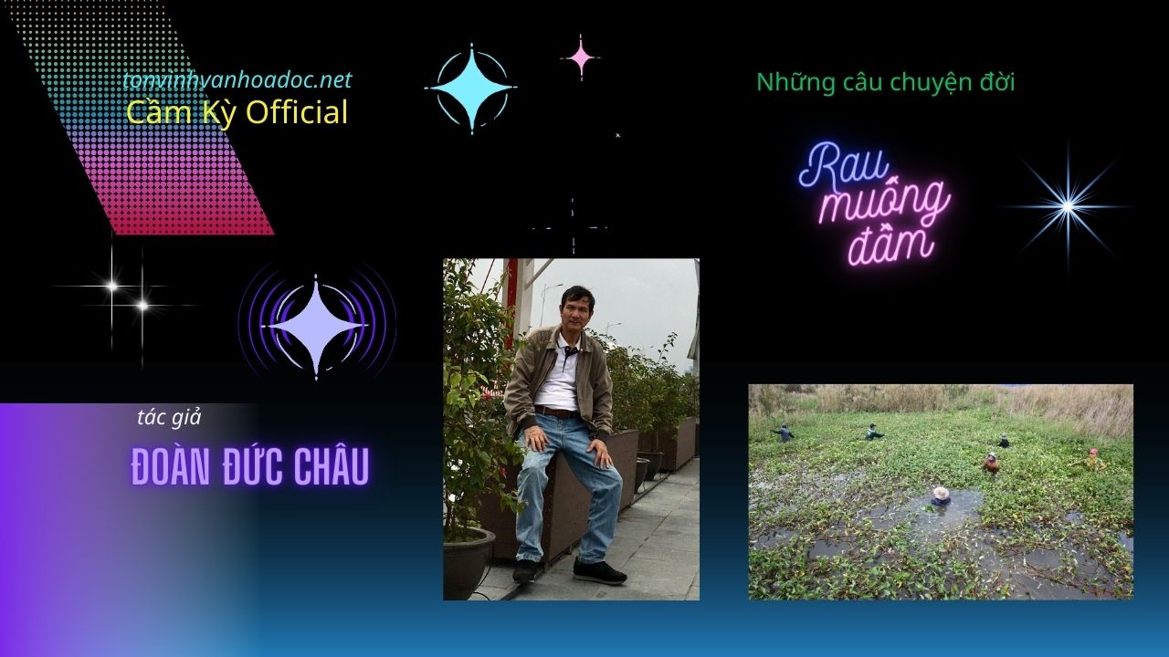 Rau muống đầm | Tác giả Đoàn Đức Châu - Tôn Vinh Văn Hóa Đọc